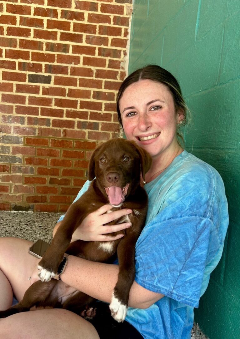 Our Team – Brandywine Veterinary Hospital